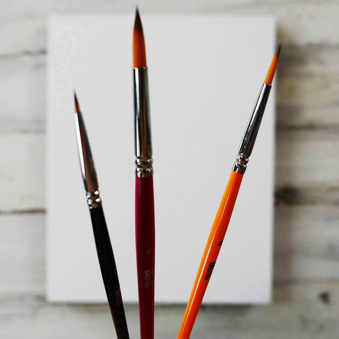 PAINT BRUSH COLLECTION SET | UrArtStudio